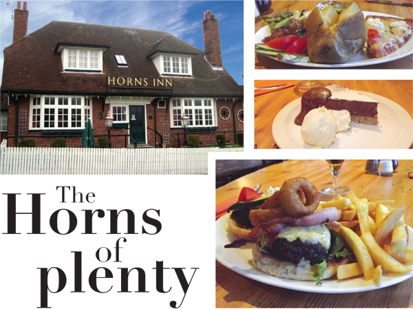 Horns Inn - Dorset View