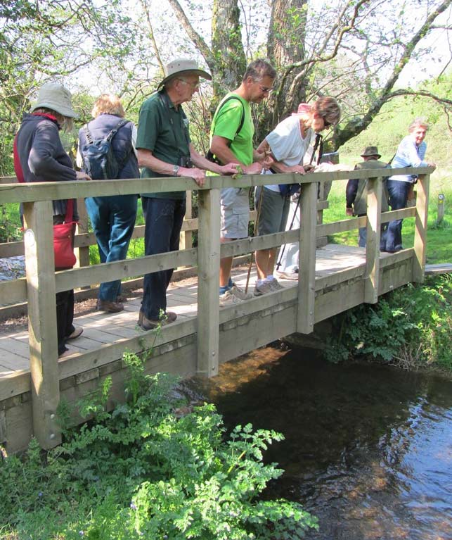 Weekend Walks in West Dorset - Dorset View