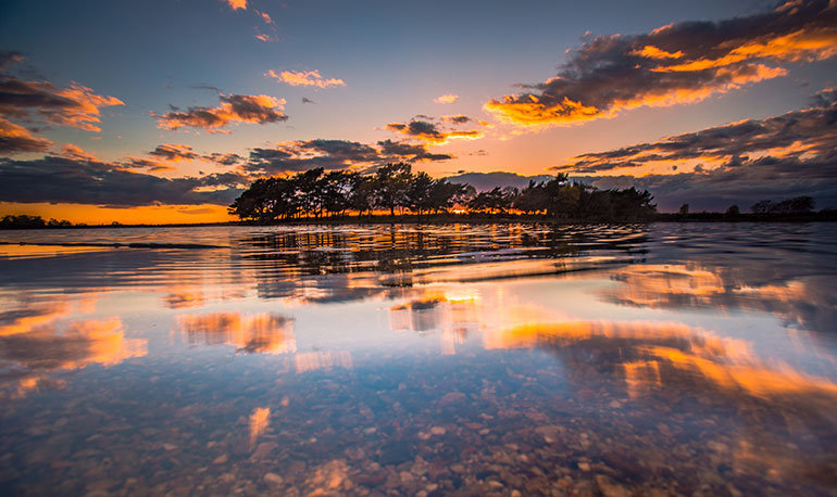 Public pick favourite spring New Forest photos