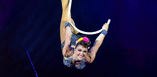 Aerial act circus star returns to Dorset