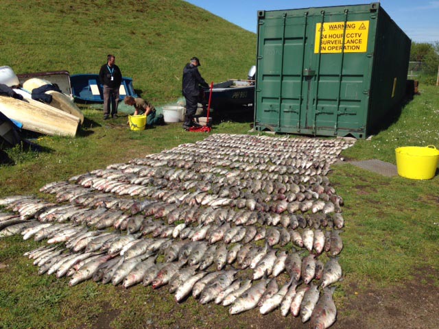 Fisherman fined over £100,000 for illegal fishing in Christchurch