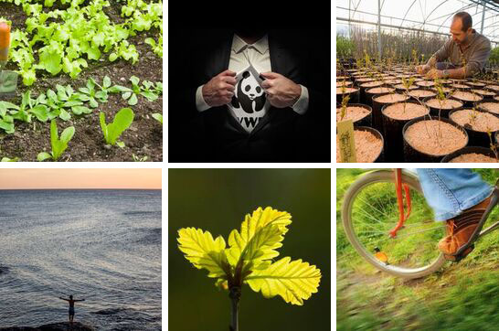 WWF nationwide search for Earth Hour Heroes begins