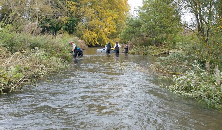 River restoration project on the Hampshire Avon shortlisted for award