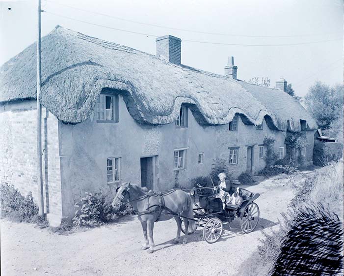 Dorset County Council officer makes amazing discovery