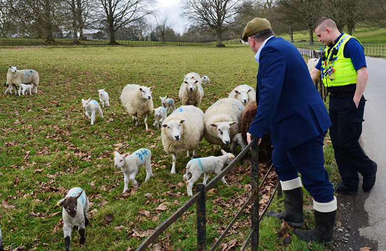 Dorset Police & Crime Commissioner joins Rural Crime Team on patrol