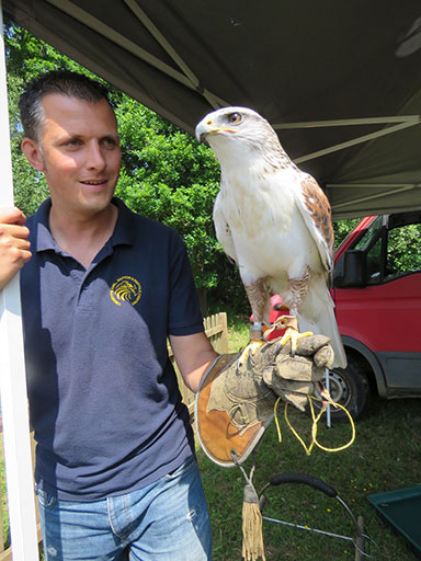 Verwood Carnival makes fabulous come back!
