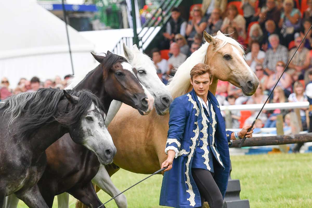TV Equine stars to perform at New Forest and Hampshire County Show