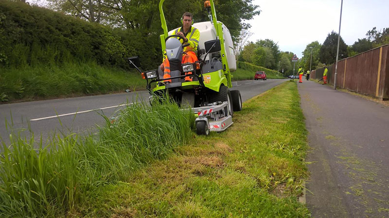 Dorset's roadside verges - a fine balance to strike