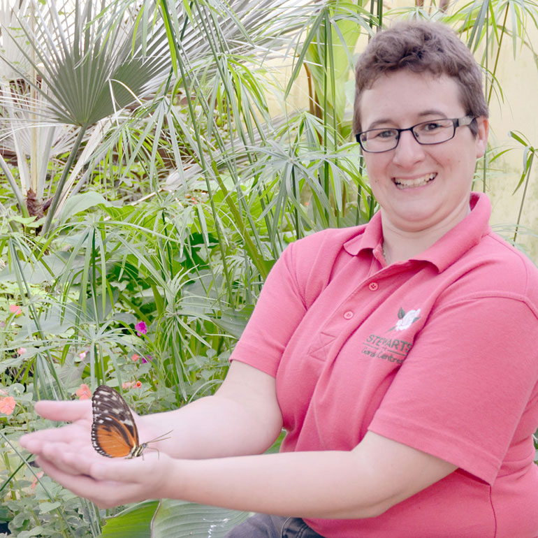 Free tropical butterfly attraction at Stewarts in Christchurch
