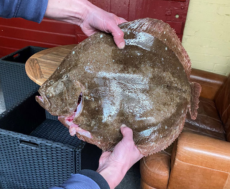 Fresh from Poole: 'Catch of the Day' to your door in lockdown