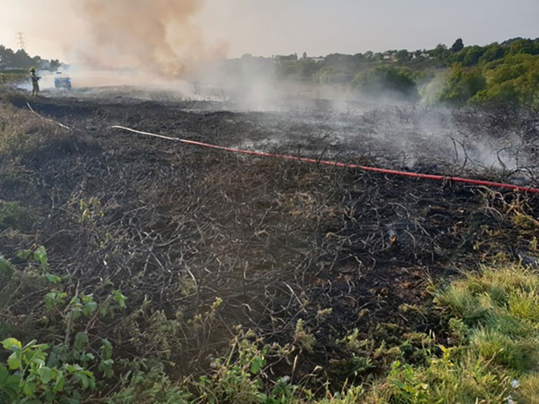 Police appeal: Suspicious fire at Poole nature reserve