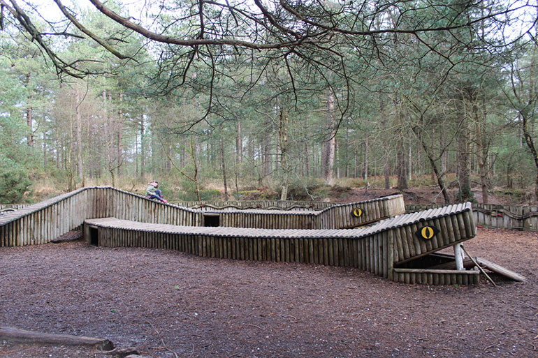 Four country parks managed by Dorset Council are re-opening