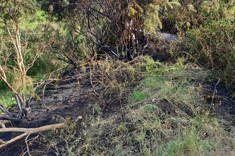 Another suspicious fire breaks out at a Poole nature reserve