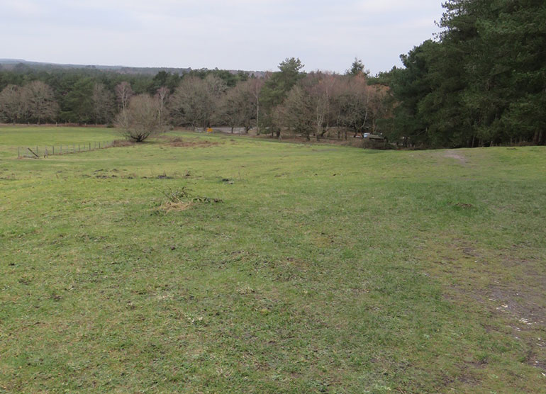 Avon Heath Country Park (accessed from car park off Boundary Lane)