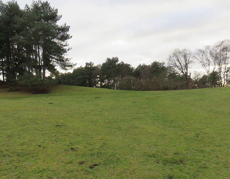 Avon Heath Country Park (accessed from car park off Boundary Lane)