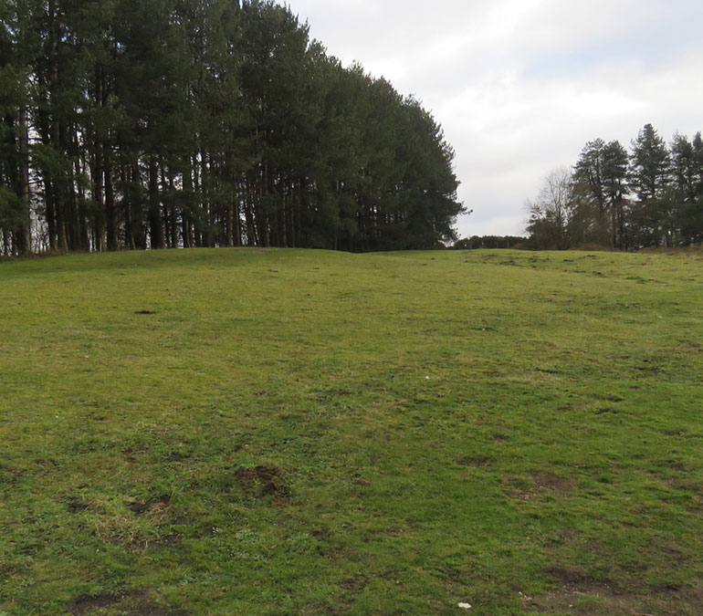Avon Heath Country Park (accessed from car park off Boundary Lane)