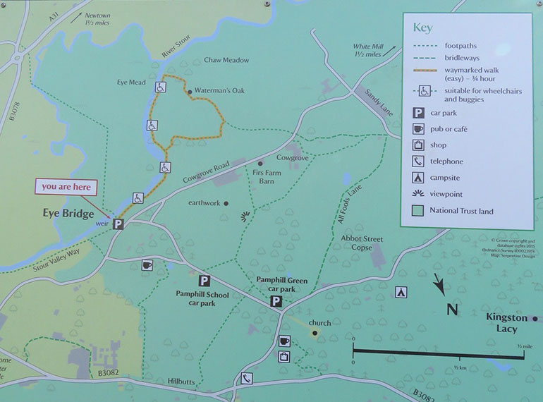 Walks in Dorset: Wimborne Eye Bridge