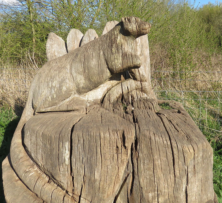 Walks in Dorset: Wimborne Eye Bridge