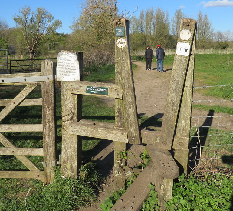 Walks in Dorset: Wimborne Eye Bridge