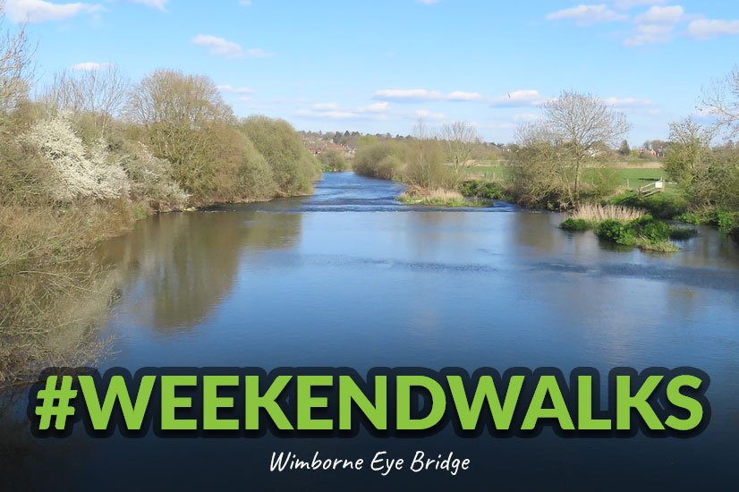 Walks in Dorset: Wimborne Eye Bridge