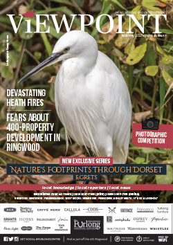 Viewpoint magazine - community news magazine for Dorset & Hampshire