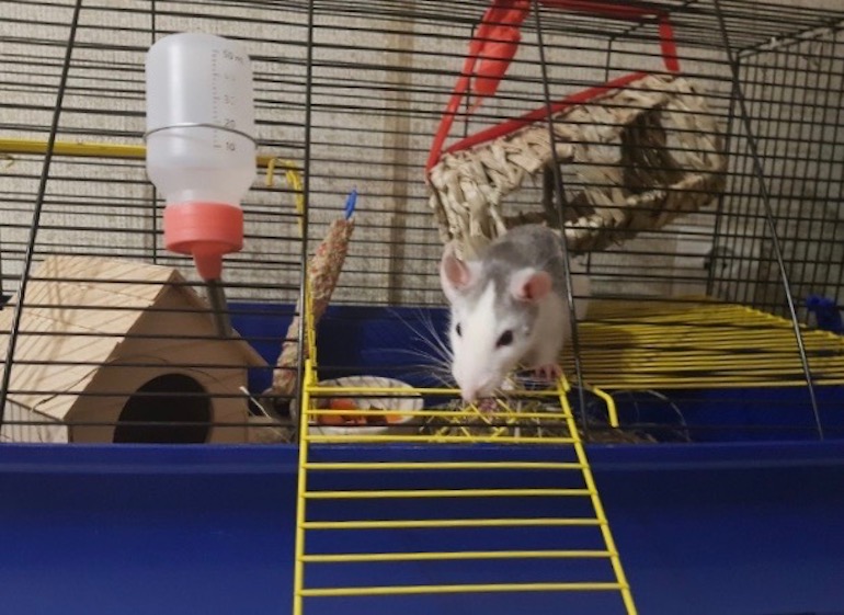 Don’t underestimate the spirit of the Ukrainians