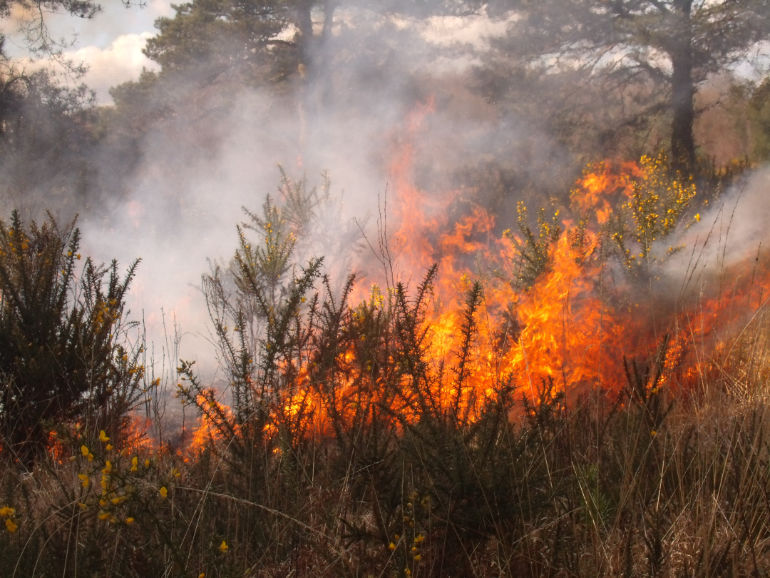 Amber wildfire warning ahead of Easter weekend