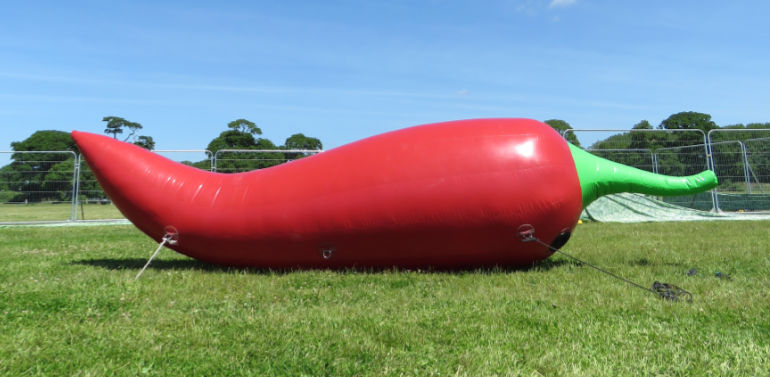 Thousands hotfoot it to Cheese & Chilli Festival in Dorset