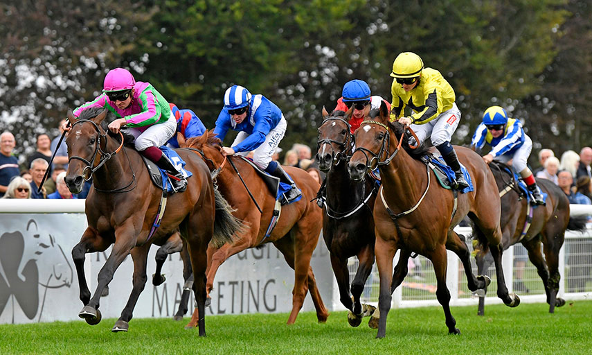 A-list prizes on offer at Julia’s House first Race Day event