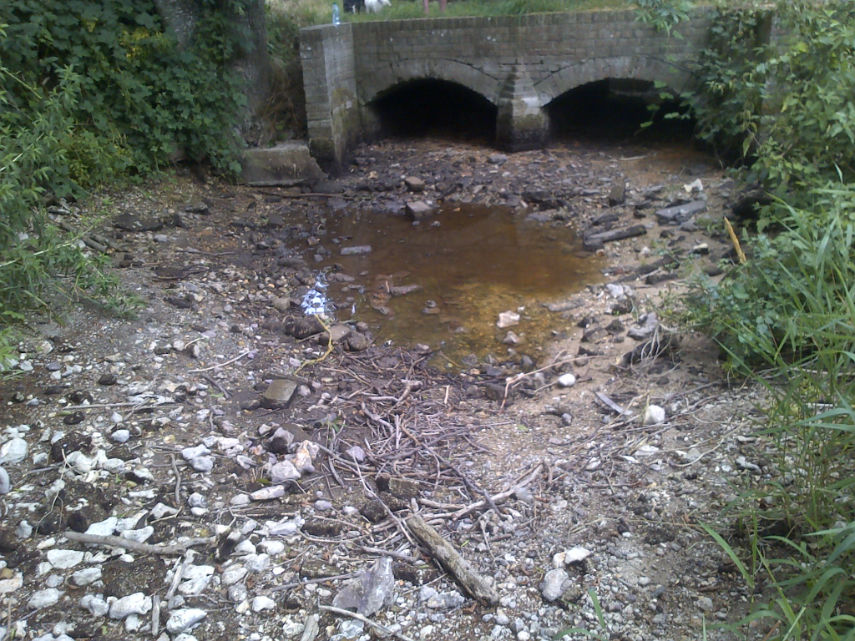 Environment Agency funds new study on Dorset chalk stream