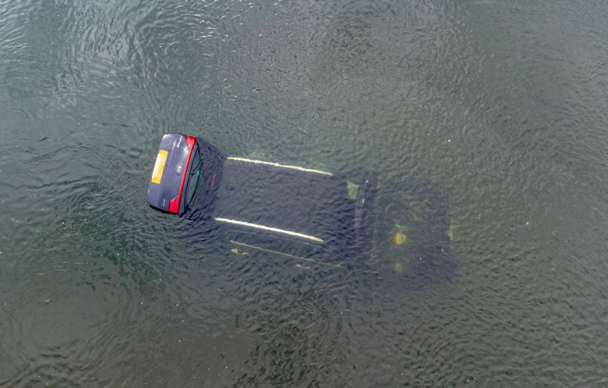 Vehicle theft and dangerous driving in Blandford