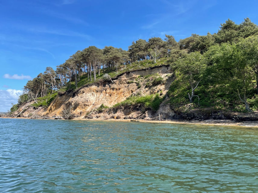 Poole Harbour restrictions lifted and insurance claim line released