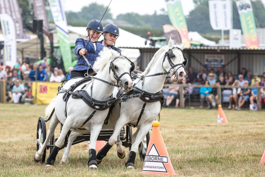 Book Dorset County Show in advance and save money