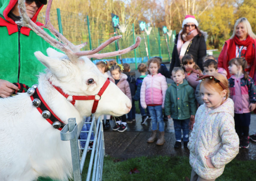 Reindeer visit Verwood school