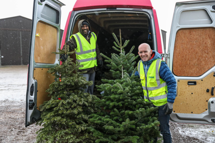 Recycle your Christmas tree in Dorset and raise money for charity