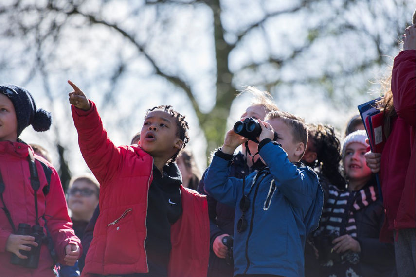Free school visits to RSPB Dorset nature reserves