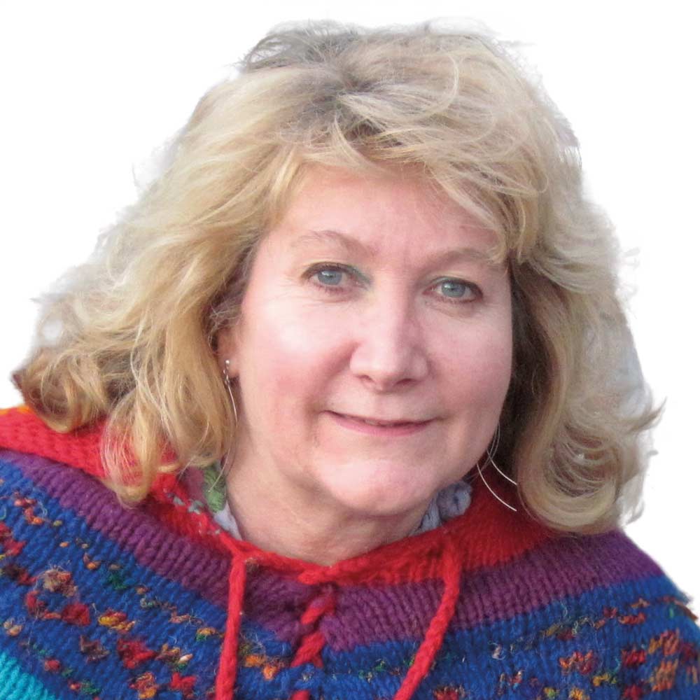 The team - Dorset View