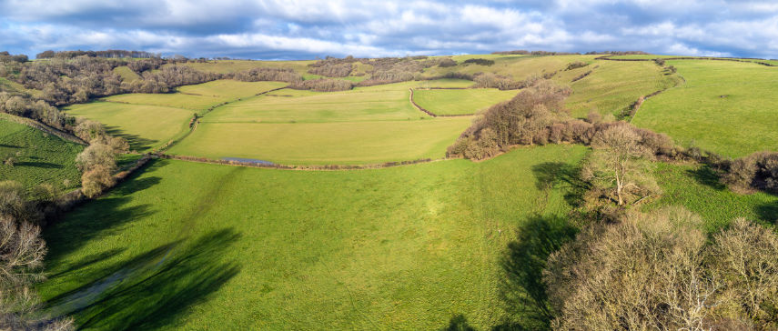 Land at Lyscombe Farm acquired for nature