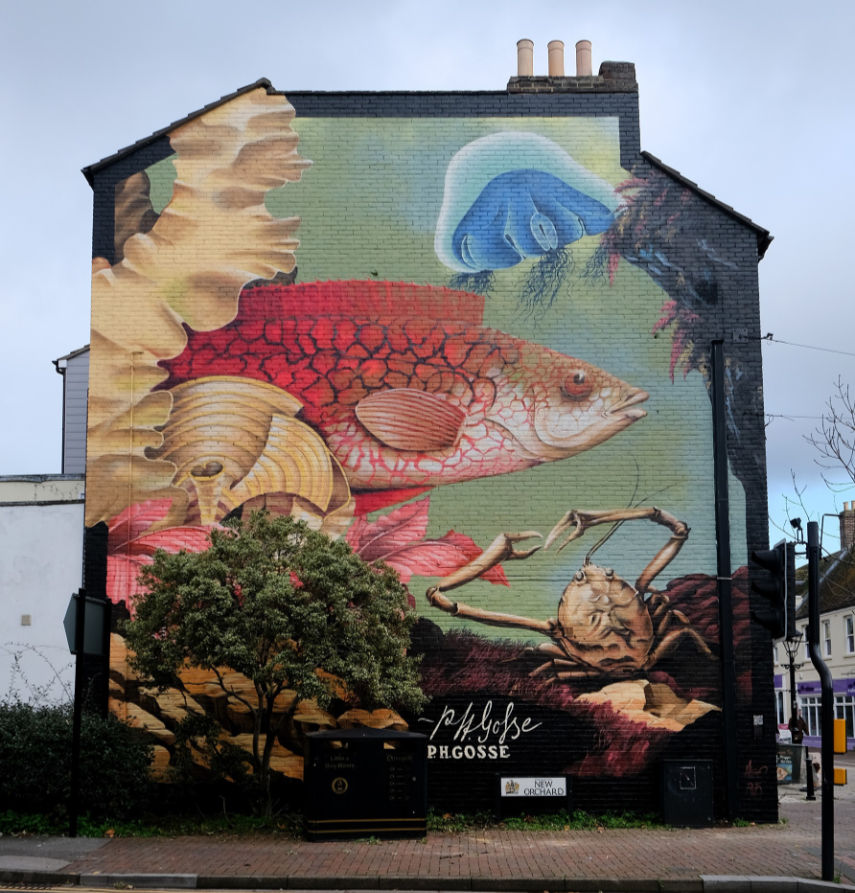 Exhibition finale for Poole High Street project