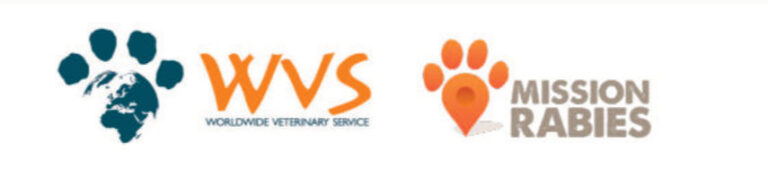 Over 26,000 dogs vaccinated against rabies in one week in Mumbai