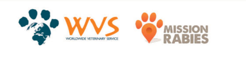 Over 26,000 dogs vaccinated against rabies in one week in Mumbai