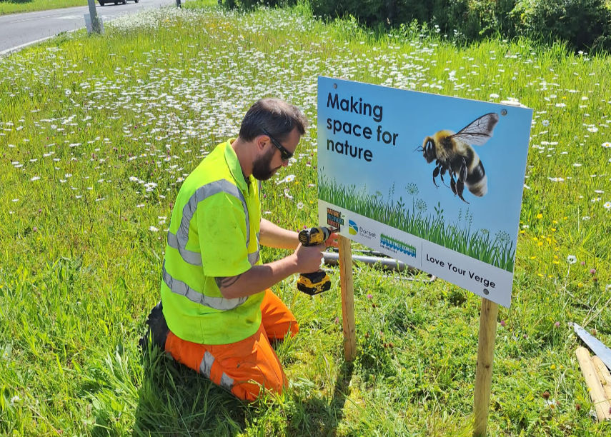 ‘Love Your Verge’ campaign for Dorset