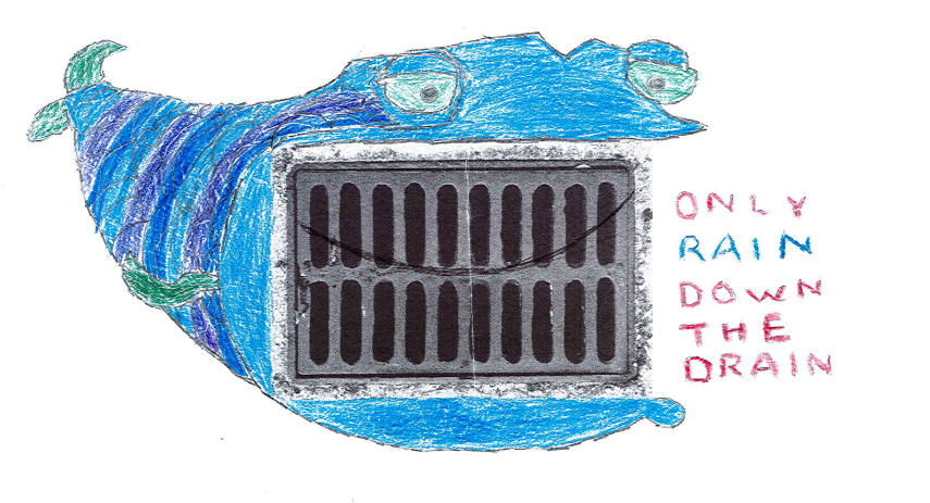Poole and Mudeford pupils learn about ocean pollution with drain art