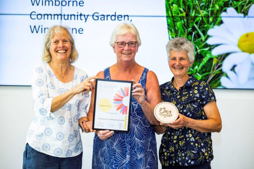 Wimborne Community Garden wins regional In Bloom award
