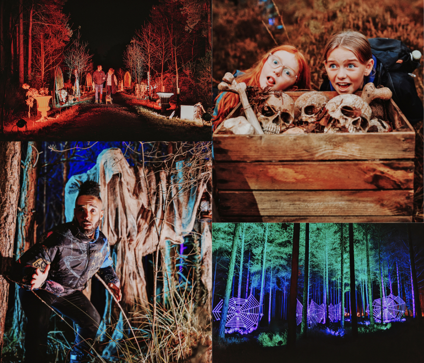 Spooky Halloween trail opens at Moors Valley