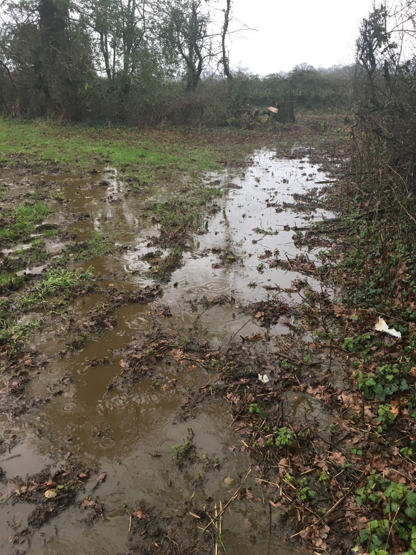 Dorset farmer fined for failing to fix slurry pollution