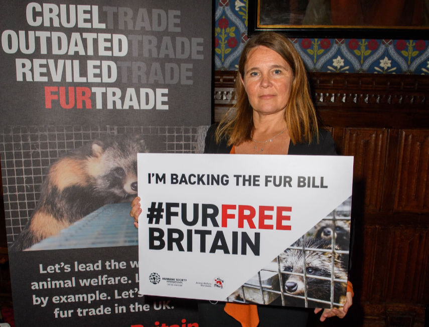 Dorset MP calls for the end of the fur trade in the UK