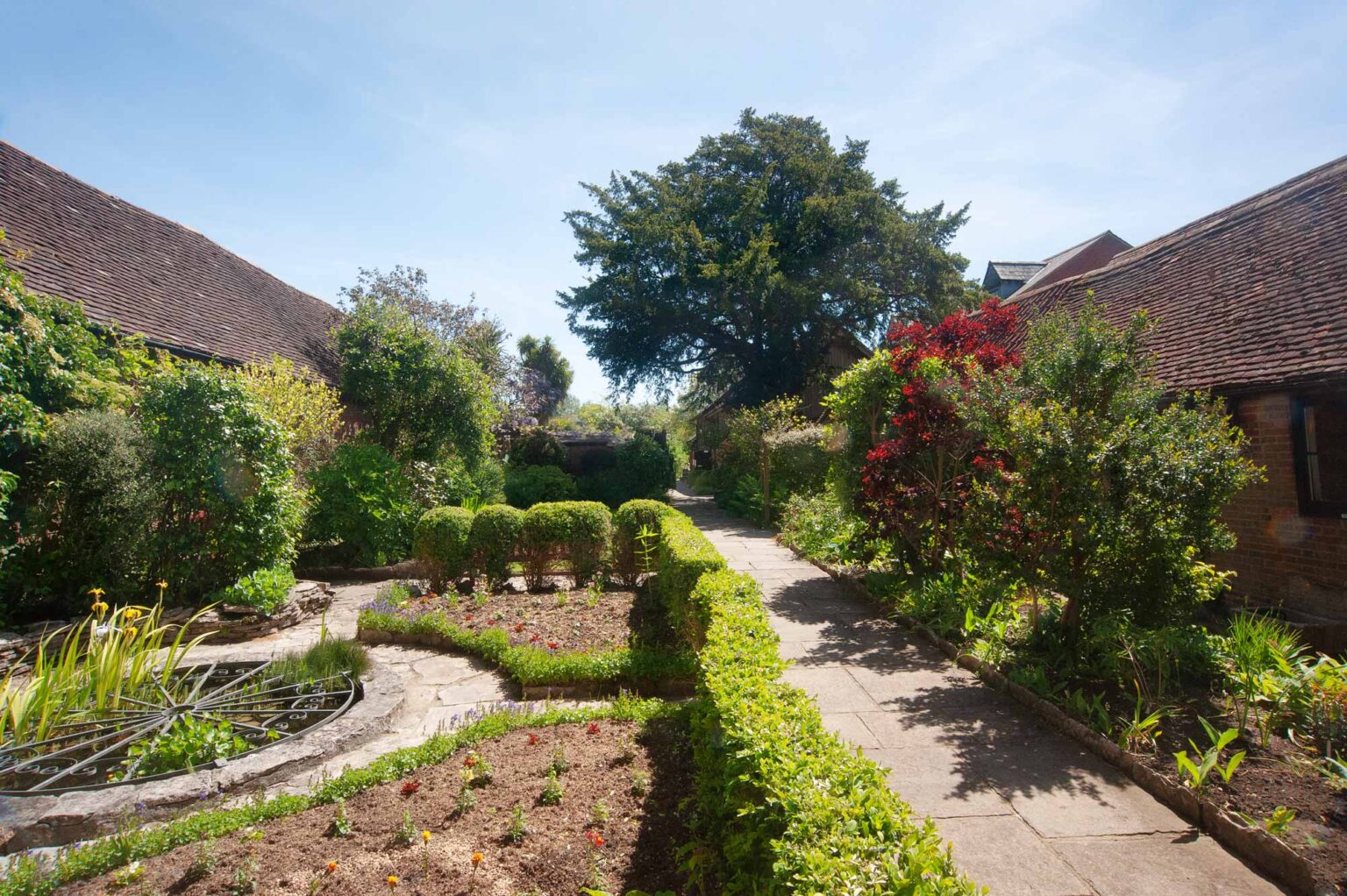 Wimborne Archives - Dorset View
