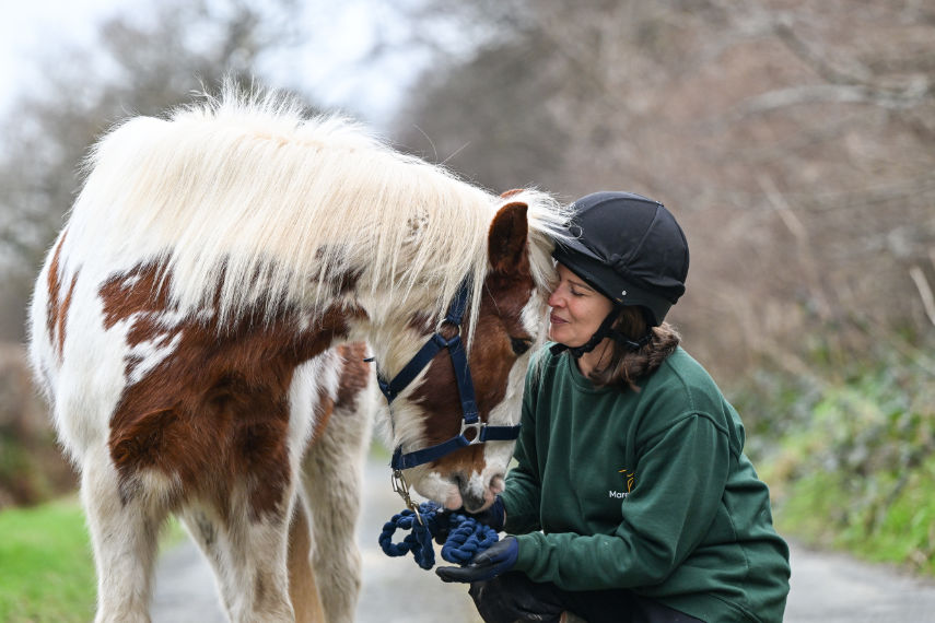 Dorset horse owners urged to help Devon-based pony charity