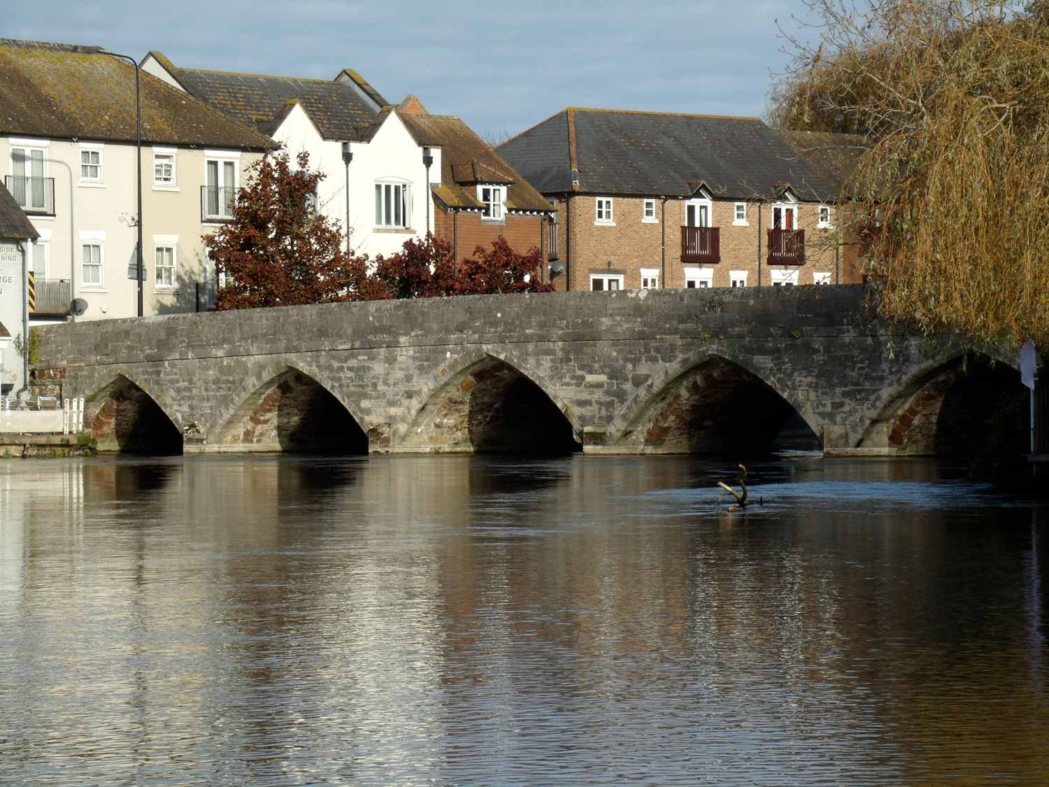 The final chapter: 40-year-old bookshop to close in Fordingbridge ...